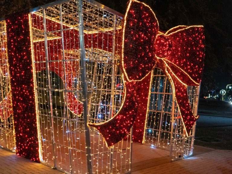 Round Rock Holiday Light Displays & Decor Guide