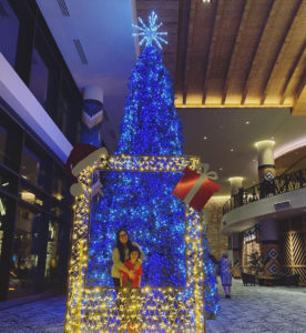 Round Rock Holiday Light Displays & Decor Guide