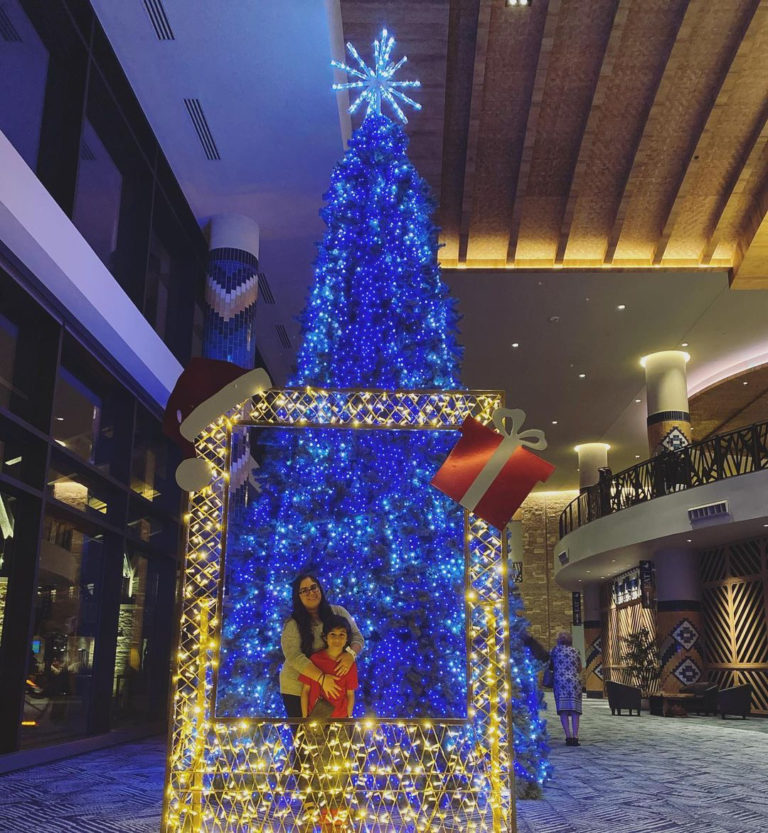 Round Rock Holiday Light Displays & Decor Guide